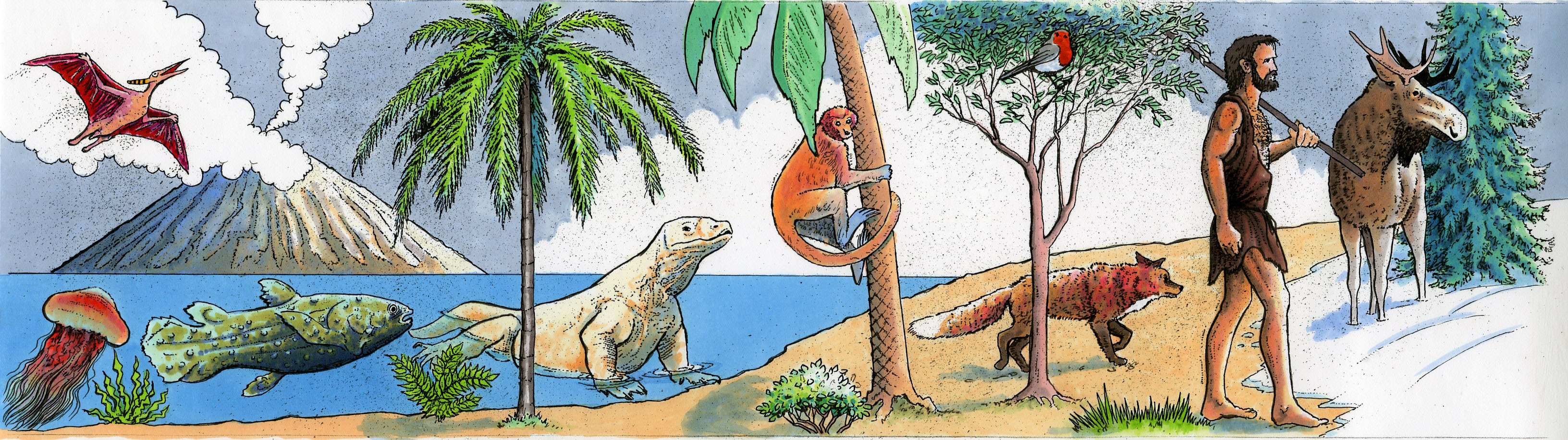 The Evolution Lab - Biologi 1 - NDLA