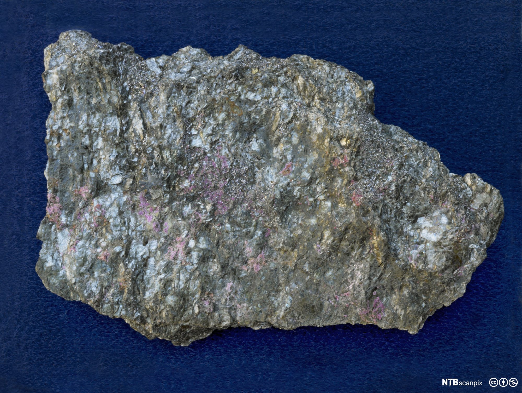 Kobolt - Praktisk yrkesutøvelse (BA-BAT vg1) - NDLA