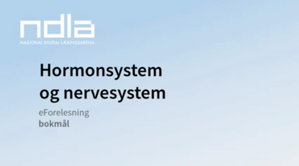 Hormonsystem og nervesystem – e-forelesning - Biologi 1 - NDLA
